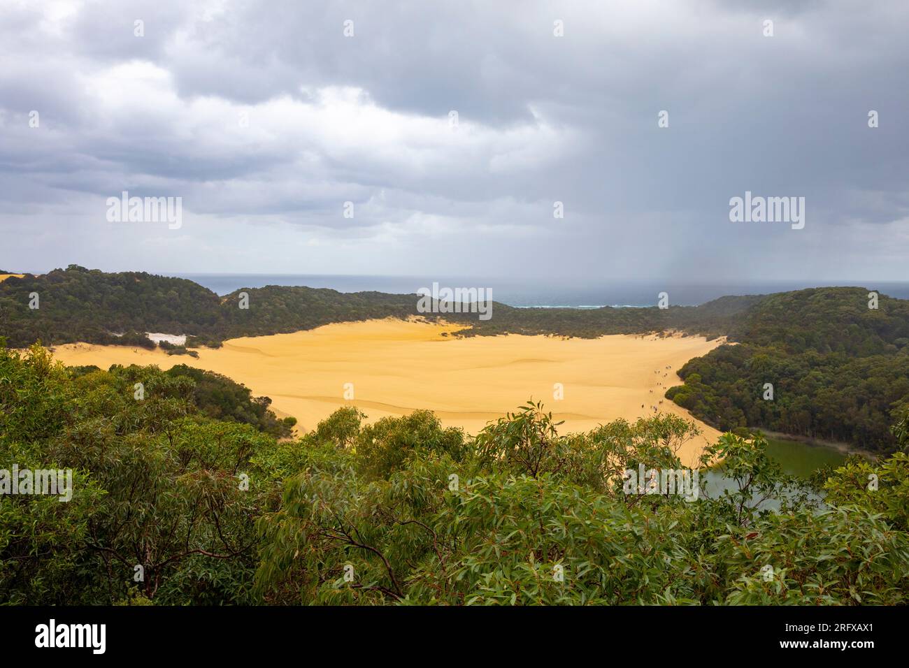 Fraser Island, kgari and sand dunes at Lake Wabby, Queensland,Australia ...