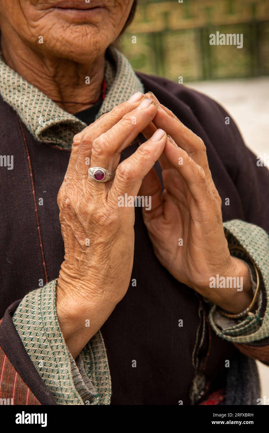 India, Ladakh, Suru Valley, Sankoo, Kartse Khar, hands of female ...