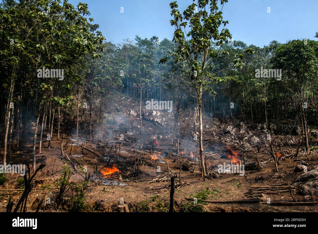 Slash and burn farming indonesia hi-res stock photography and images ...