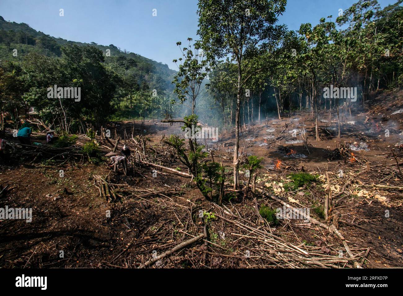 Burning slash on clear hi-res stock photography and images - Alamy