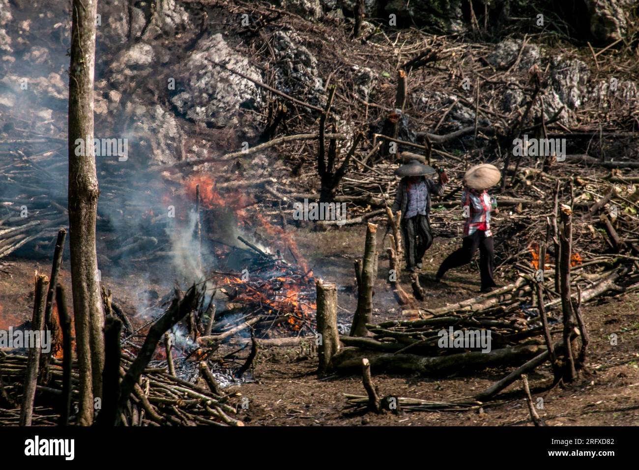 Burning slash on clear hi-res stock photography and images - Alamy
