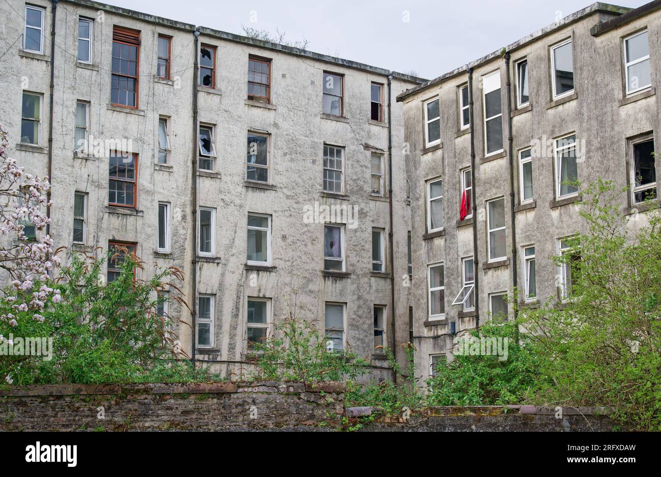 High rise council flats in poor housing estate Stock Photo - Alamy