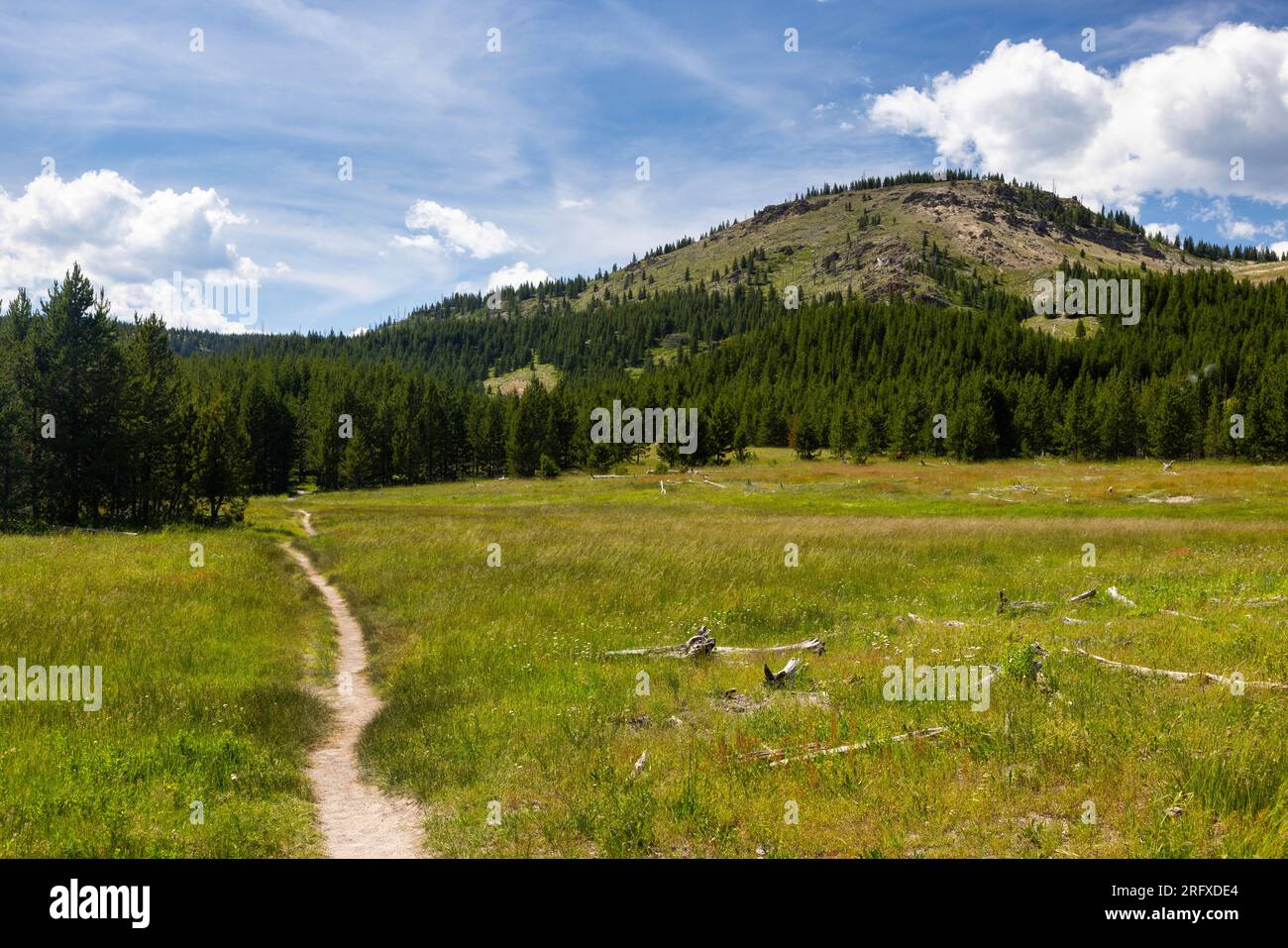 The Fairy Falls Trail wandering through a meadow below one of the Twin ...
