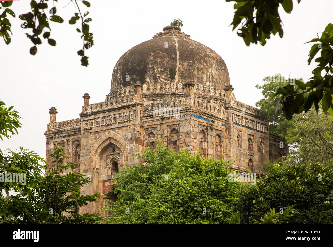 India, Delhi, Lodi Gardens, Sheesh Gumbad Tomb rising above trees Stock ...