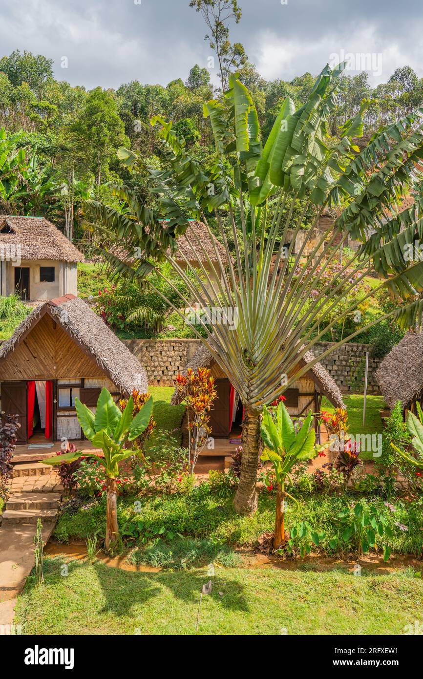 Andasibe, Madagascar - May 26.2023: Beautiful jungle thatched roof ...