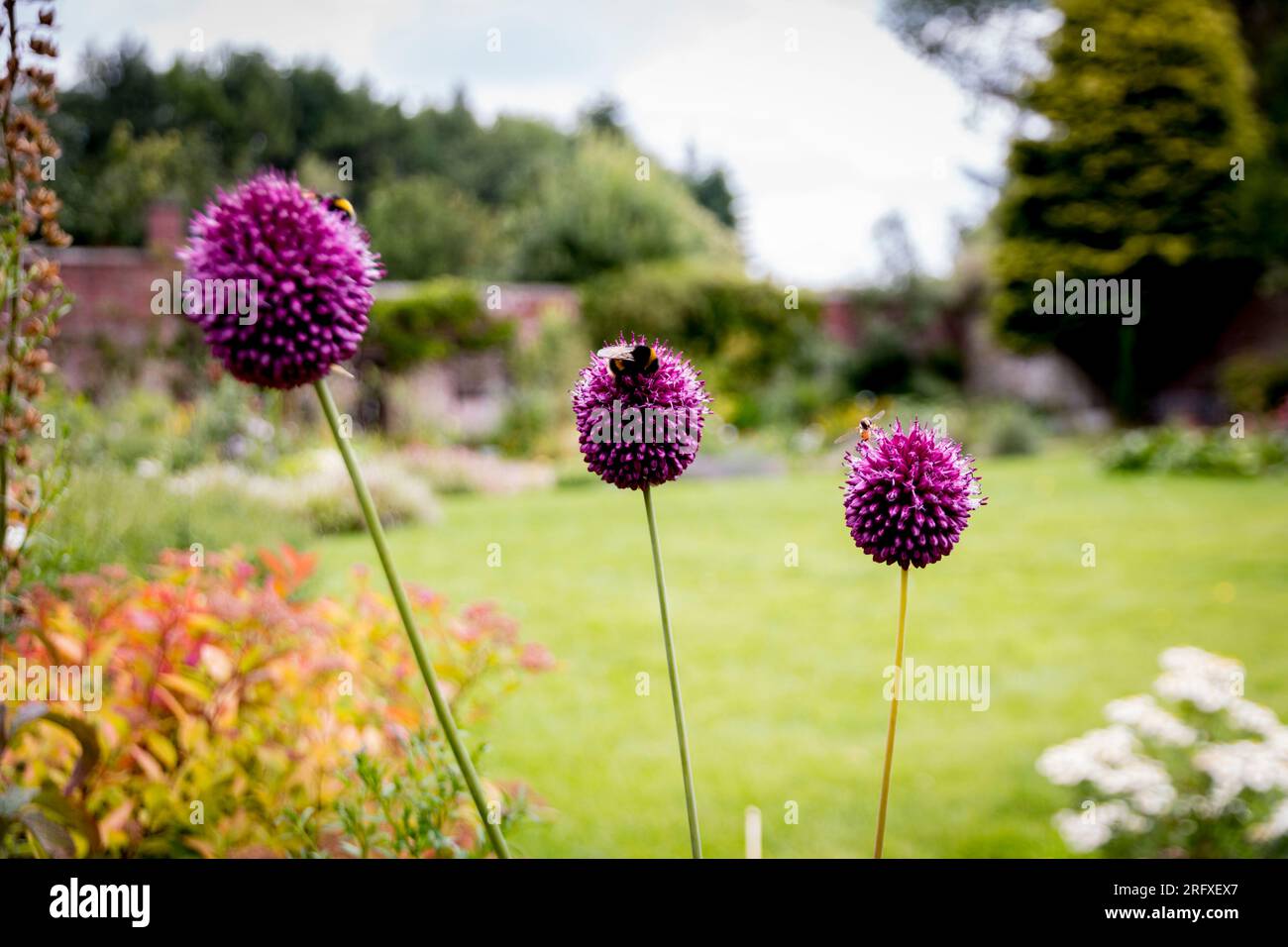 Barshaw park hi-res stock photography and images - Alamy