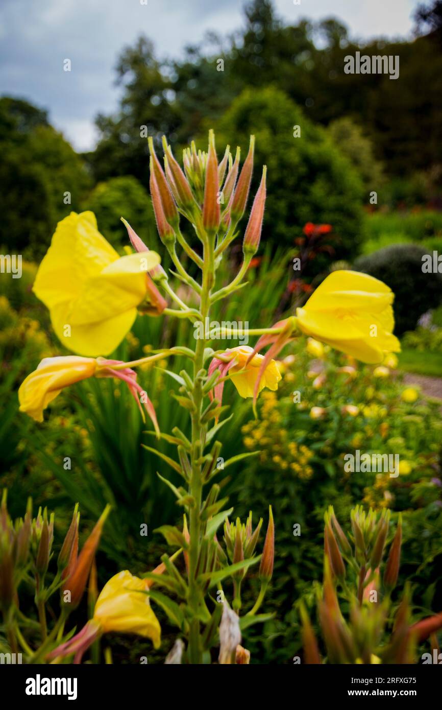 Barshaw park hi-res stock photography and images - Alamy