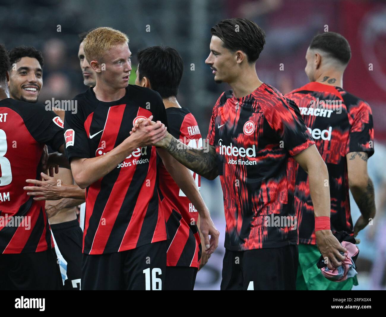 Robin hands hi-res stock photography and images - Alamy