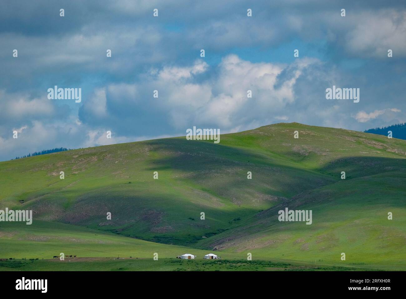 Erdenet, Mongolia - July 19, 2023: Yurt settlement in the Mongolian ...