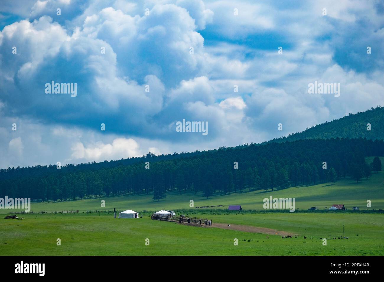 Erdenet, Mongolia - July 19, 2023: Yurt settlement in the Mongolian ...