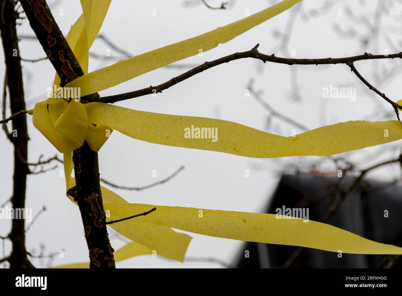 Dddoc hi-res stock photography and images - Alamy