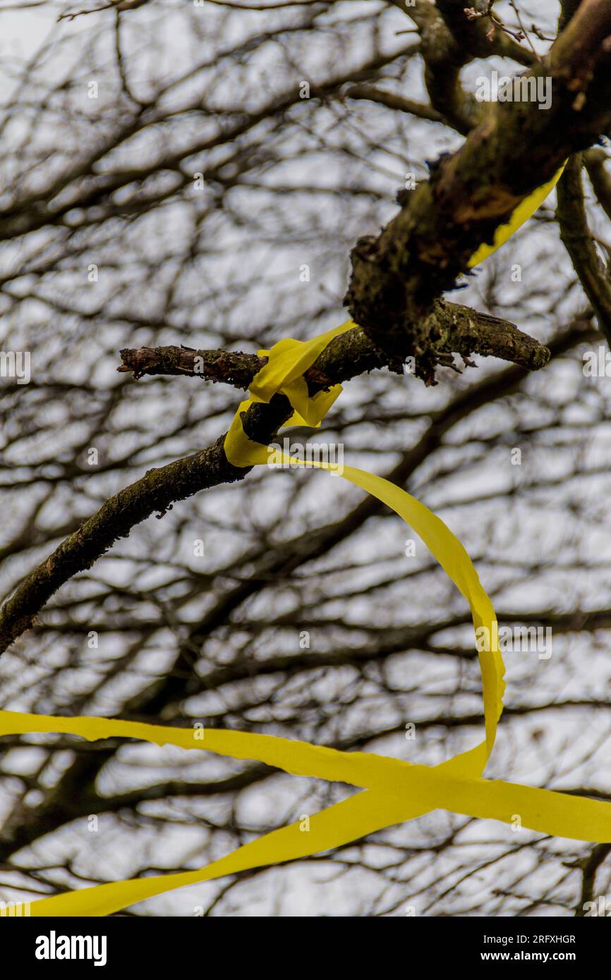 Dddoc hi-res stock photography and images - Alamy