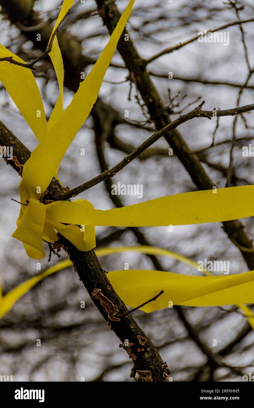 Dddoc hi-res stock photography and images - Alamy