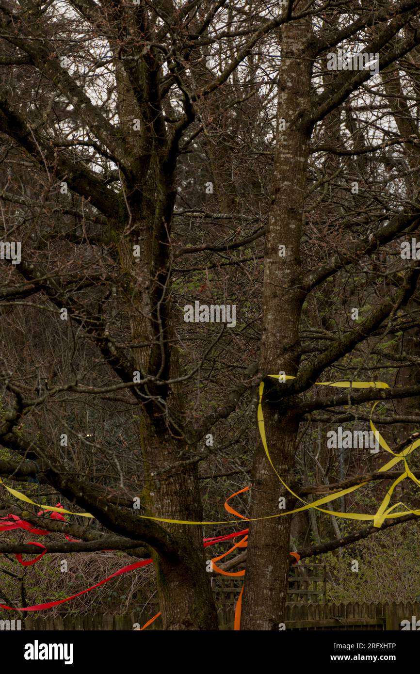 Dddoc hi-res stock photography and images - Alamy