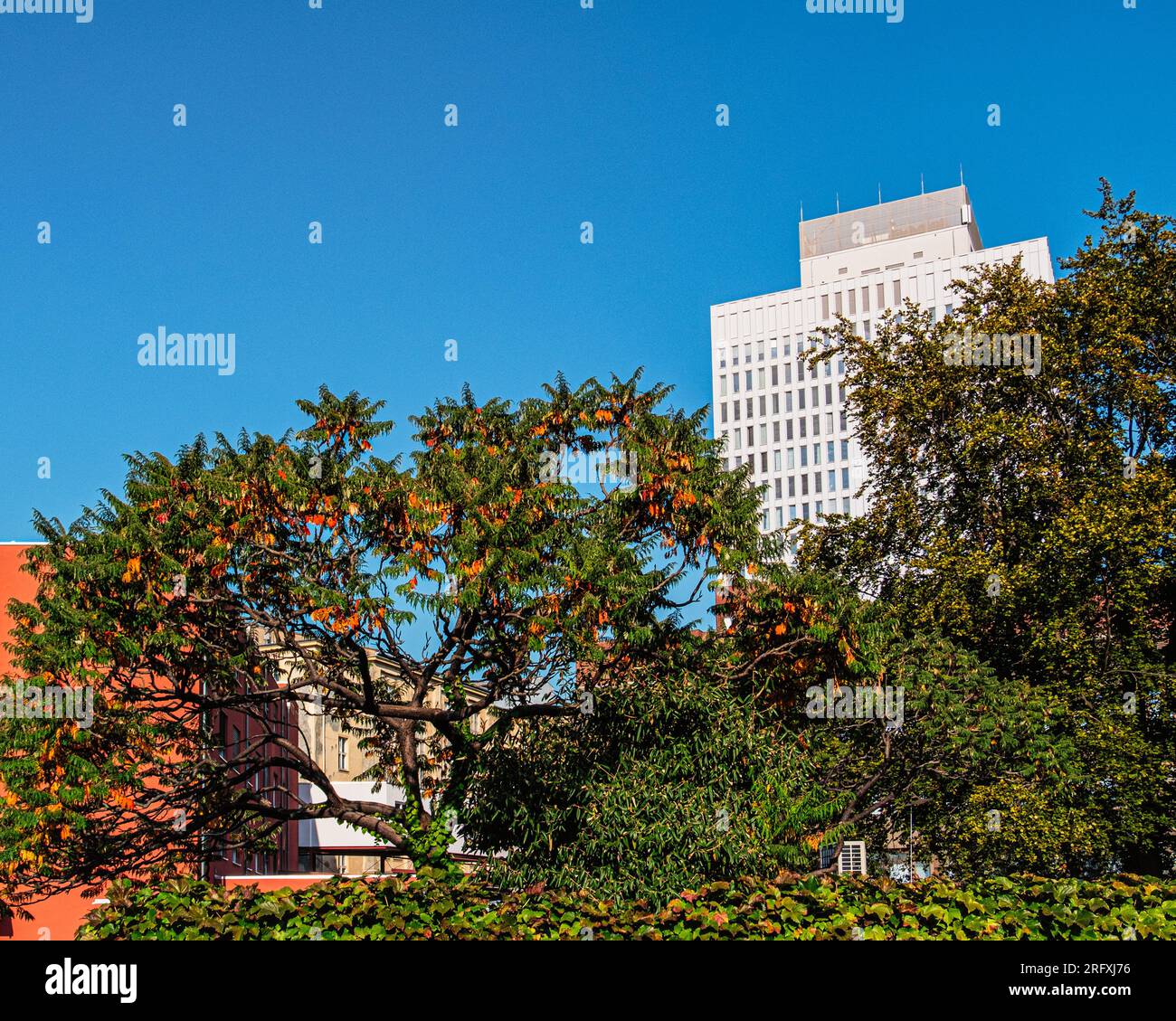 The Charité Hospital Campus,Teaching hospital buildings, Mitte, Berlin ...