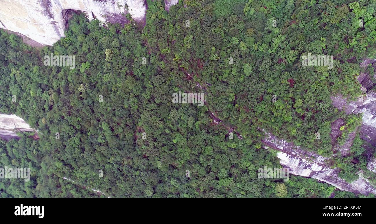 Chongqing, China. 06th Aug, 2023. CHONGQING, CHINA - AUGUST 5, 2023 - A ...