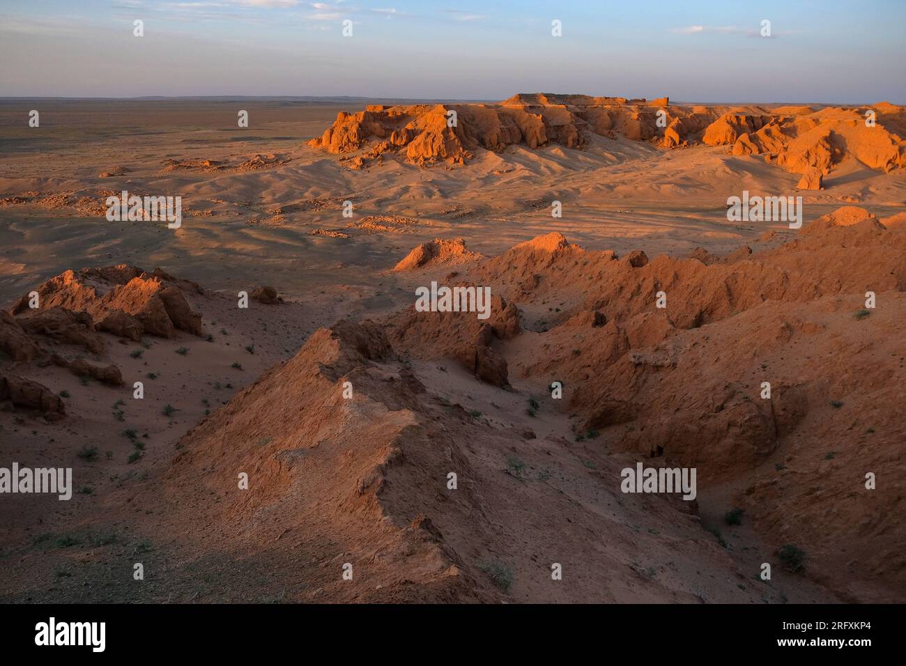 The Flaming Cliffs also known as Bayanzag in the Gobi Desert in ...