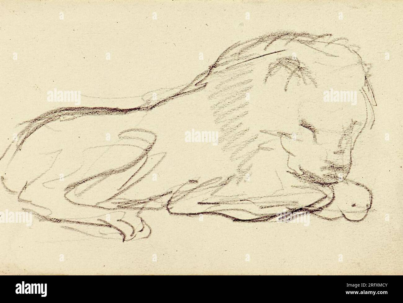 Liggende leeuw hi-res stock photography and images - Alamy