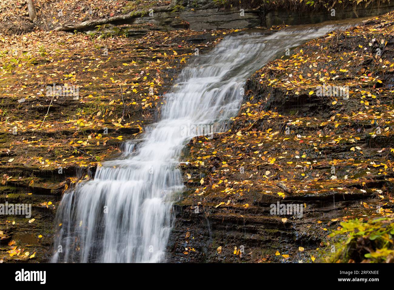a waterfall within Buttermilk falls state park in Ithaca New york in ...