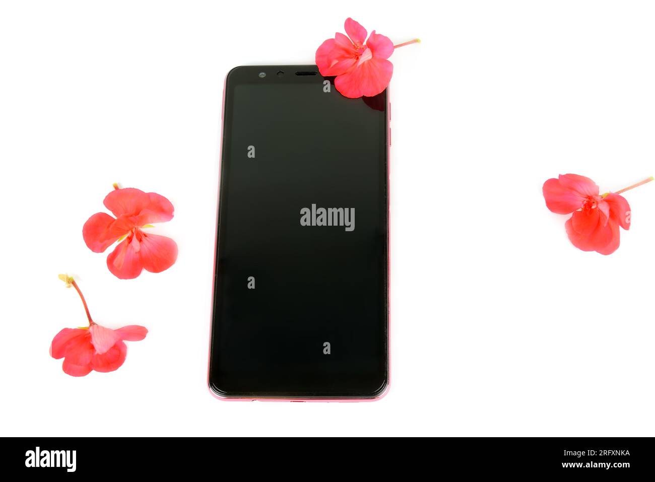 Smartphone in pink case isolated on white background Stock Photo - Alamy