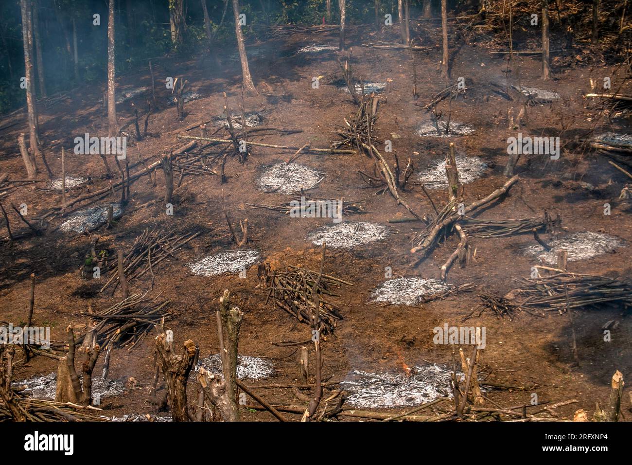 Mayan Slash And Burn Farming