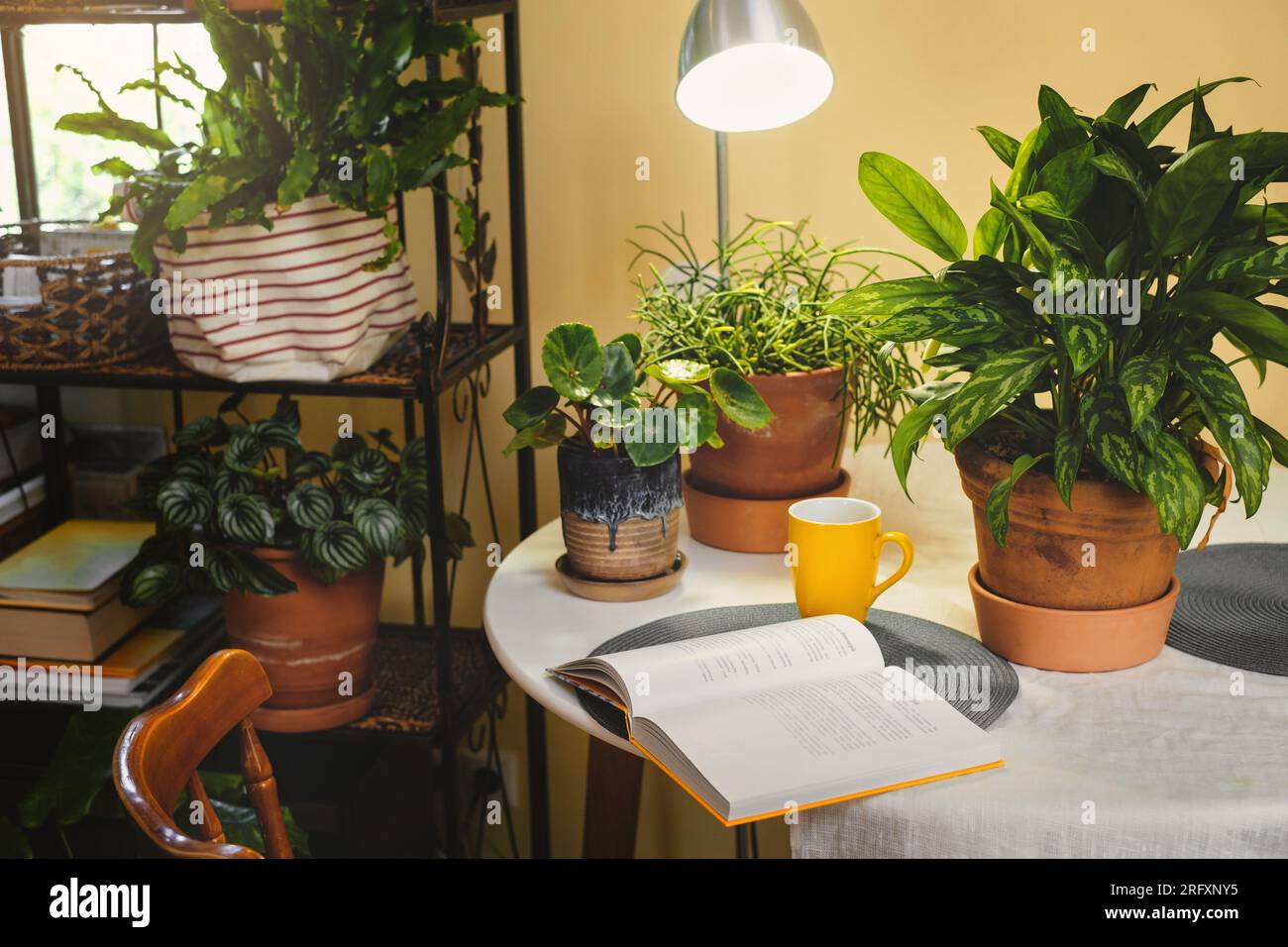 Reading place near houseplants. Green relax zone in the room with ...