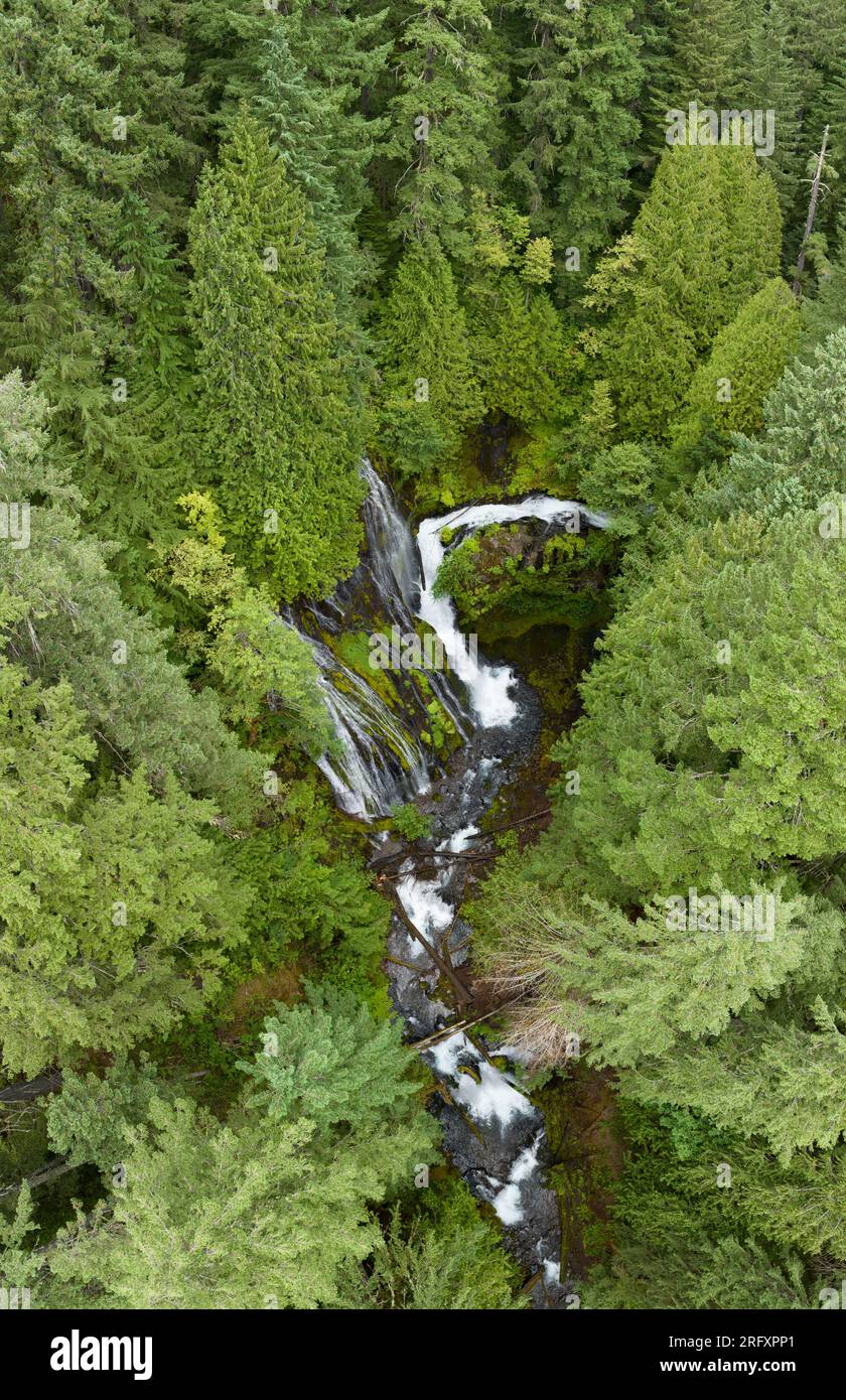 Seen from a bird's eye perspective, the impressive Panther Creek Falls ...