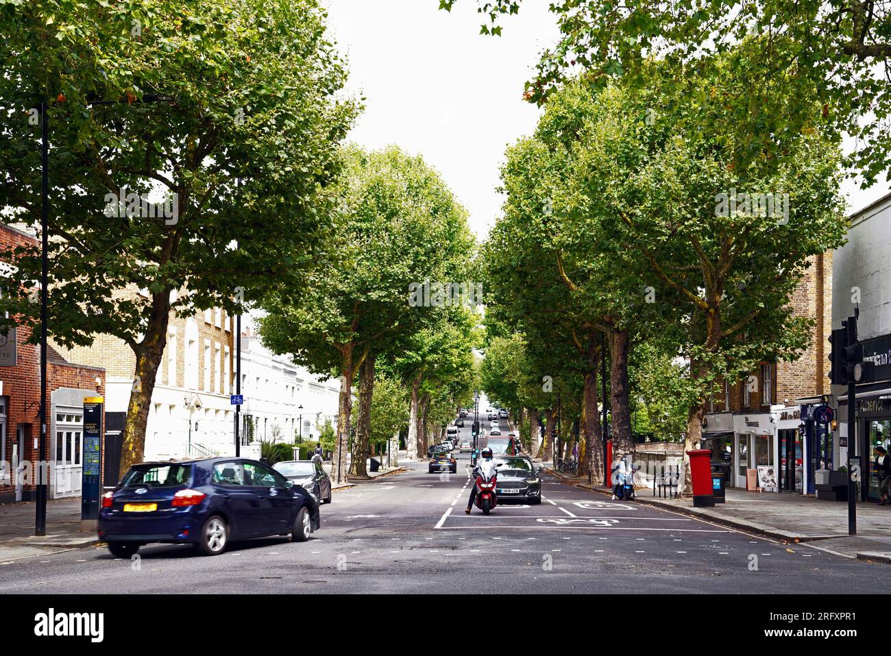 Chelsea london royal avenue hi-res stock photography and images - Alamy