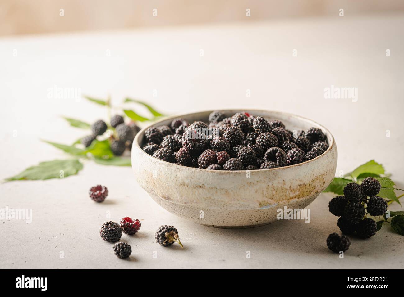 Cumberland black raspberry berry hi-res stock photography and images ...