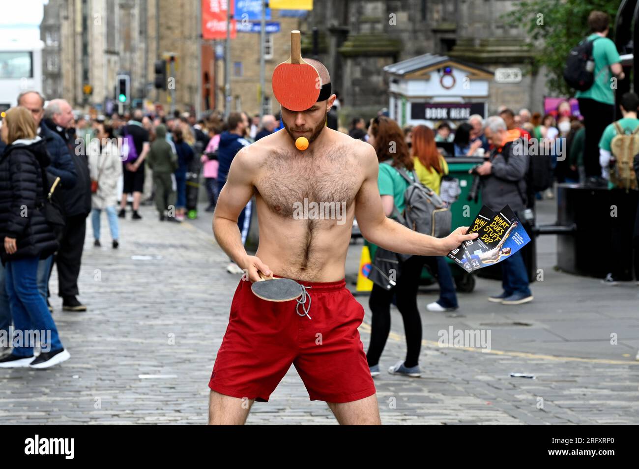 Robin 2023 hi-res stock photography and images - Alamy