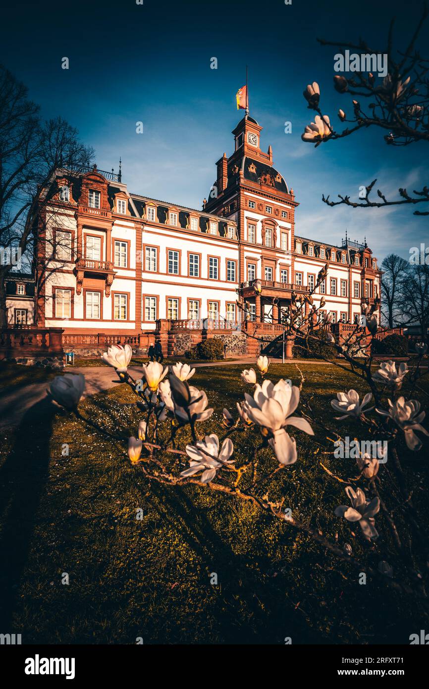 The Philippsruhe castle in Hanau Germany, a beautiful castle on the ...