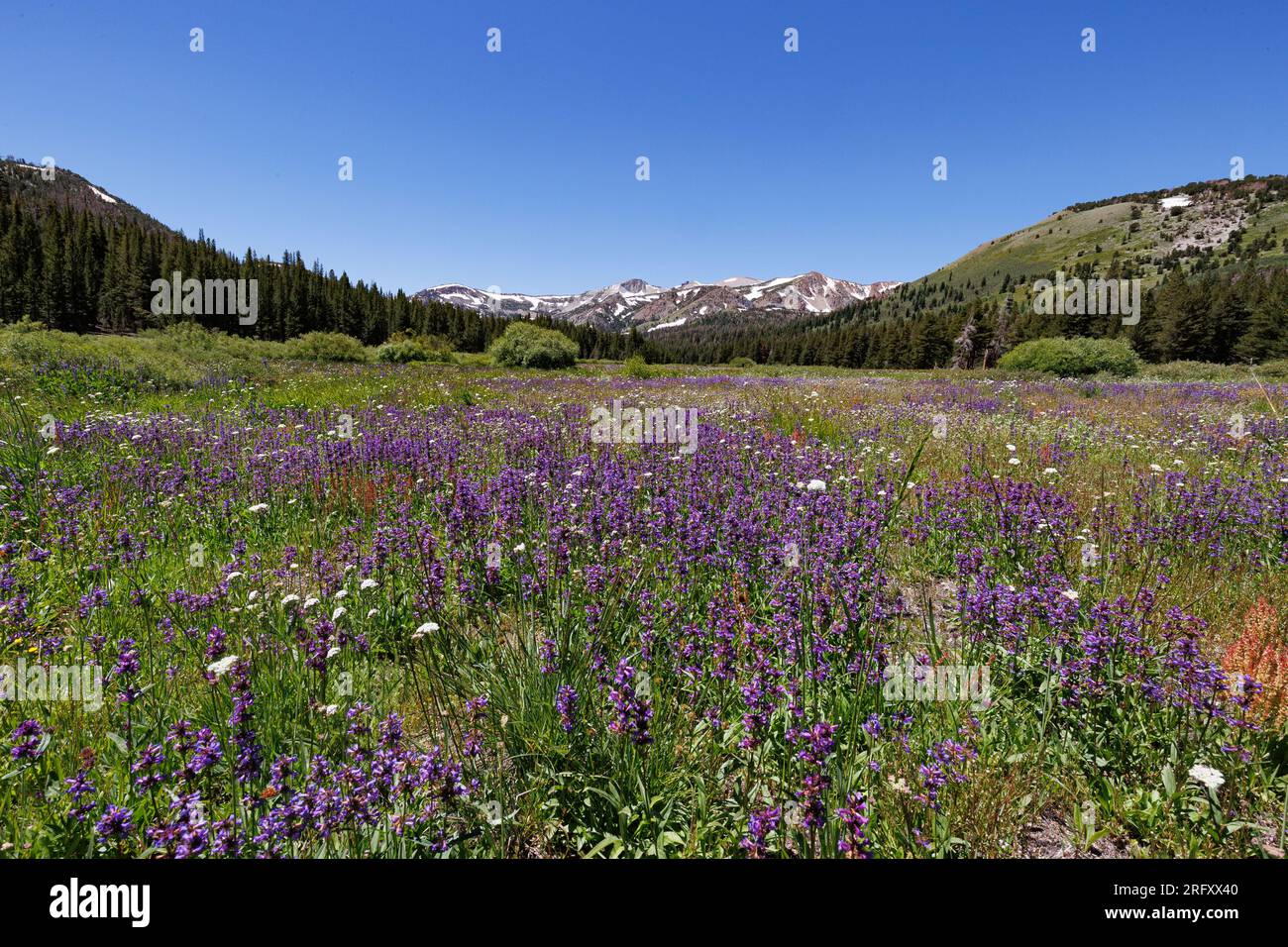 Summit fever alpine lakes hi-res stock photography and images - Alamy