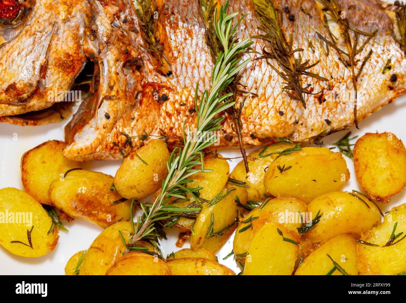 Traditional roast snapper fish with rosemary and sautéed potatoes Stock ...