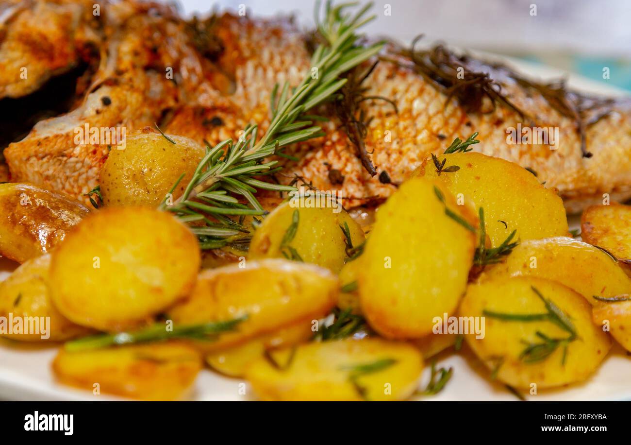 Traditional roast snapper fish with rosemary and sautéed potatoes Stock ...