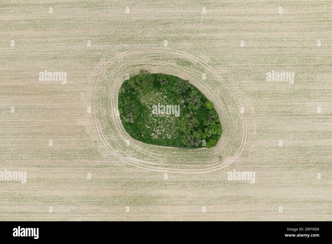 Village Country Farming Shapes In Field Aerial Drone Photo. Trees shape ...