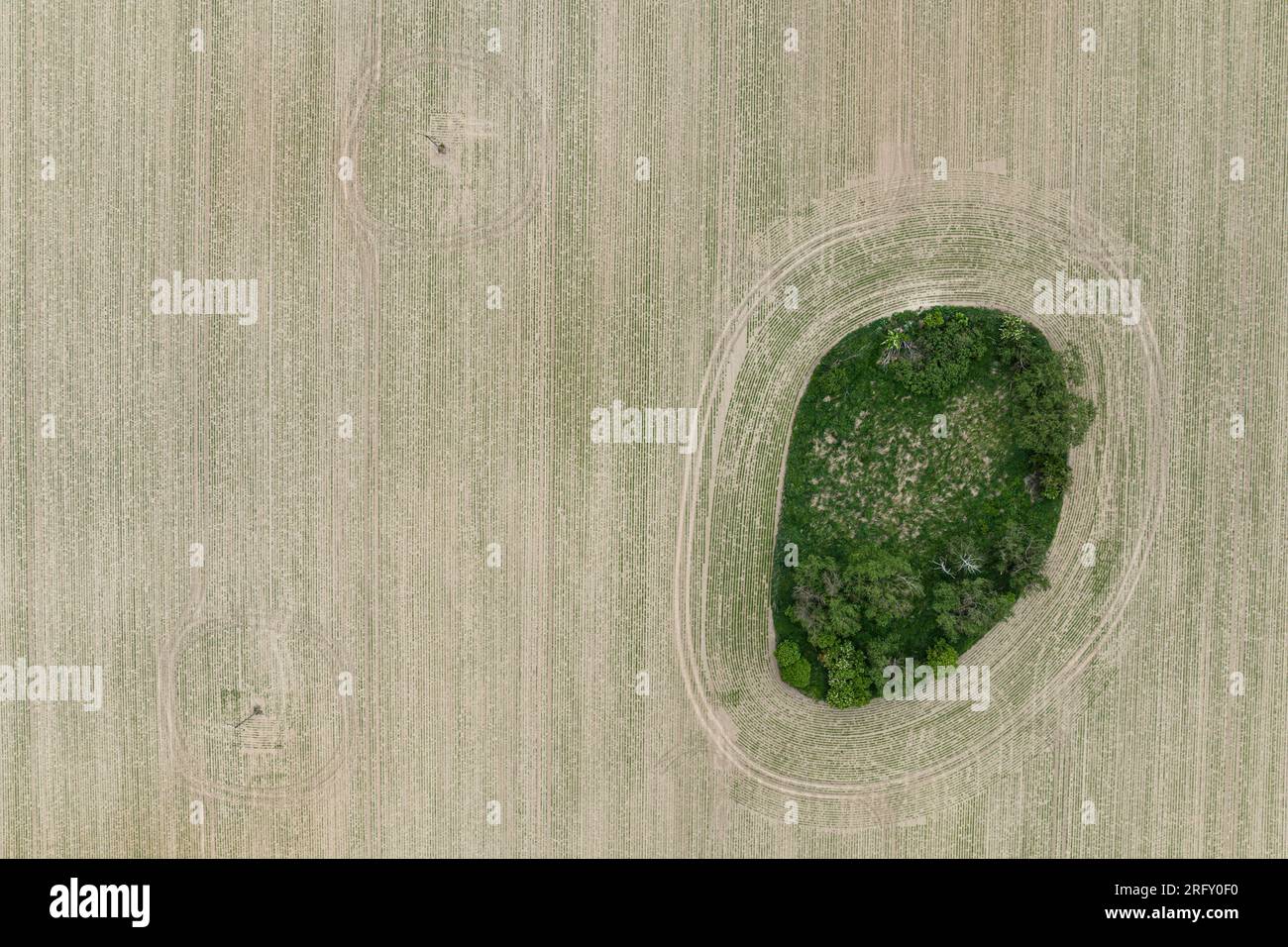 Village Country Farming Shapes In Field Aerial Drone Photo. Trees shape ...