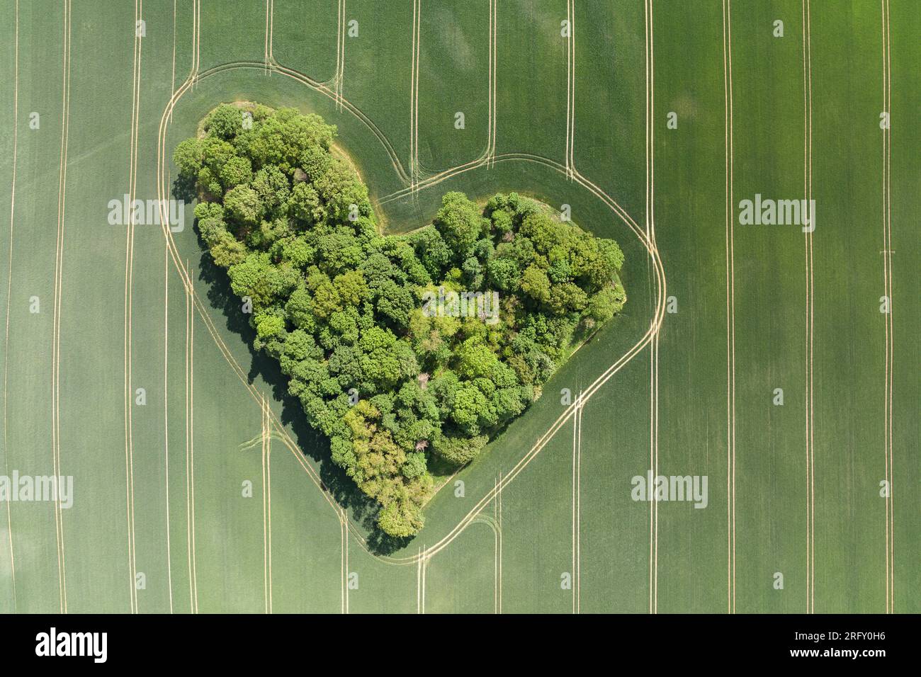 Poland heart of garden tree hi-res stock photography and images - Alamy