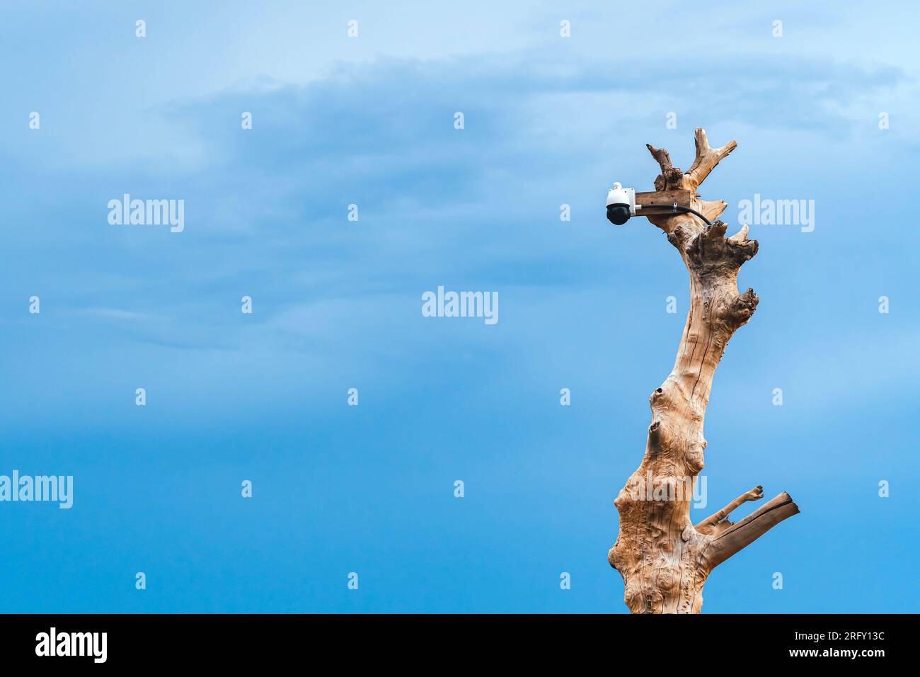 Closed circuit camera multi-angle CCTV system camera installed on dead ...