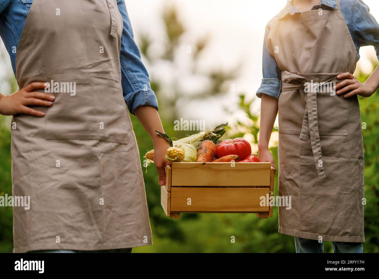 Farmer family arranging freshly picked produce into a crate on an ...