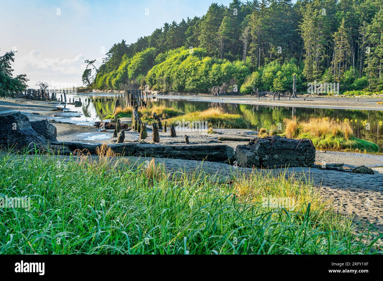 A landscape photo of grass, trees and the Moclips River in Moclips ...