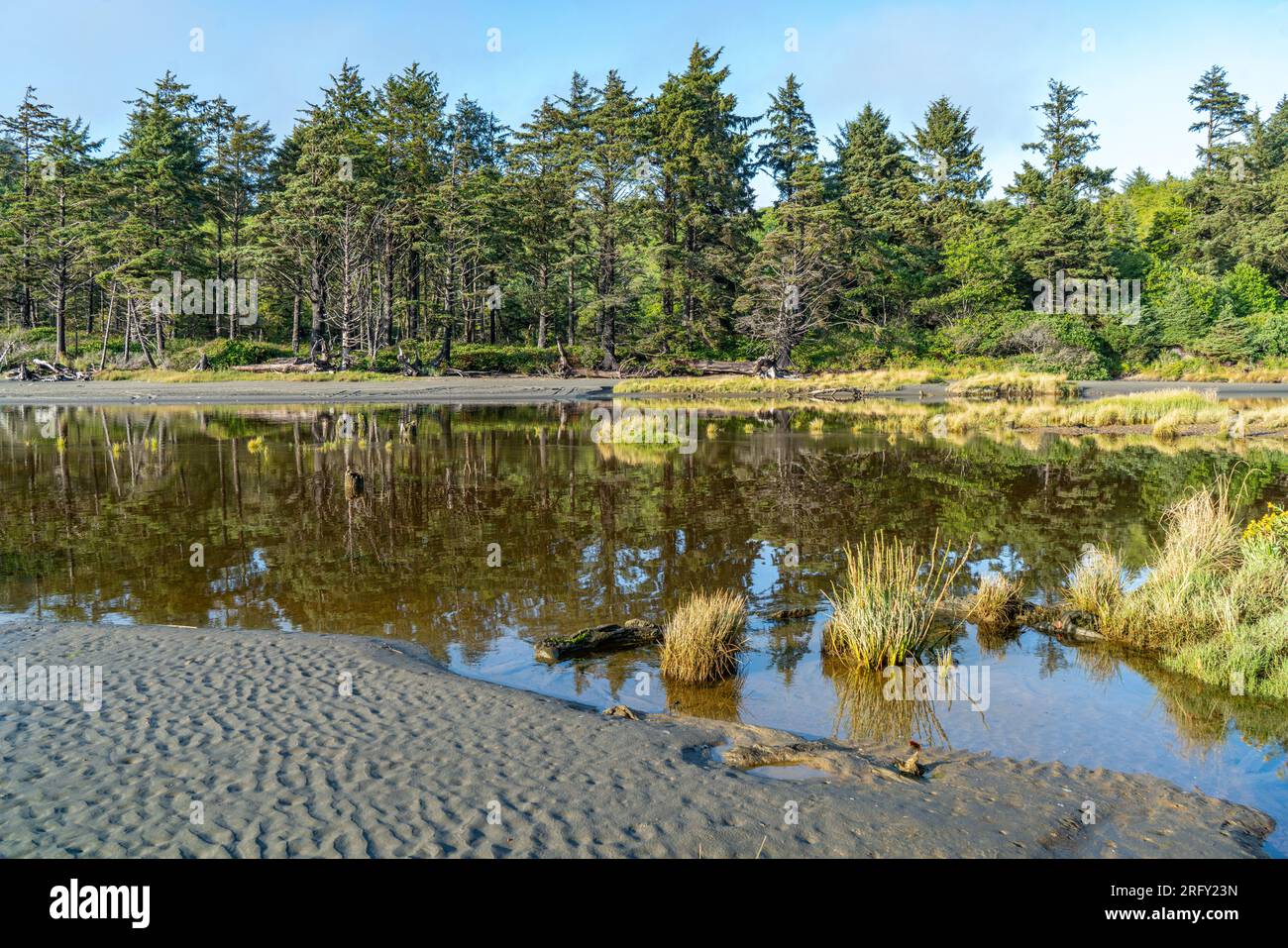 A landscape photo of the Moclips River in Washington State Stock Photo ...