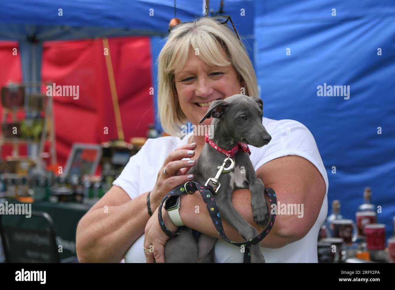 Bovey Tracey, UK. Sunday 6 August 2023. Dog show and family fun at the ...