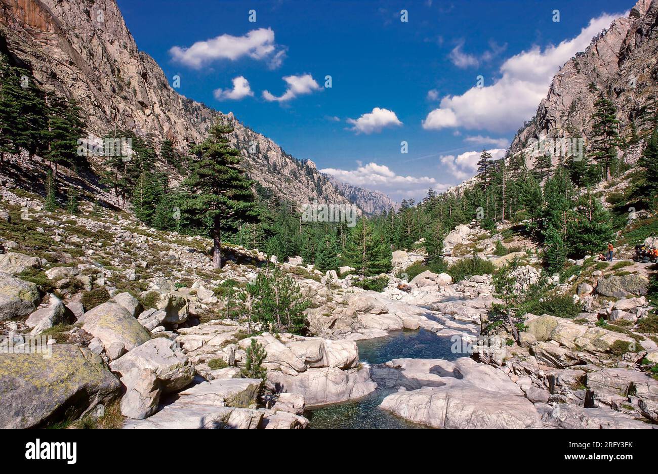 Restonica river flows at its source through mountain valley, Restonica ...