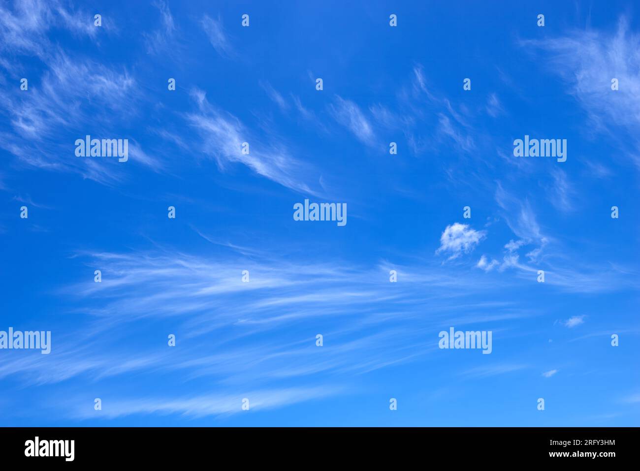 White tail streamers hi-res stock photography and images - Alamy