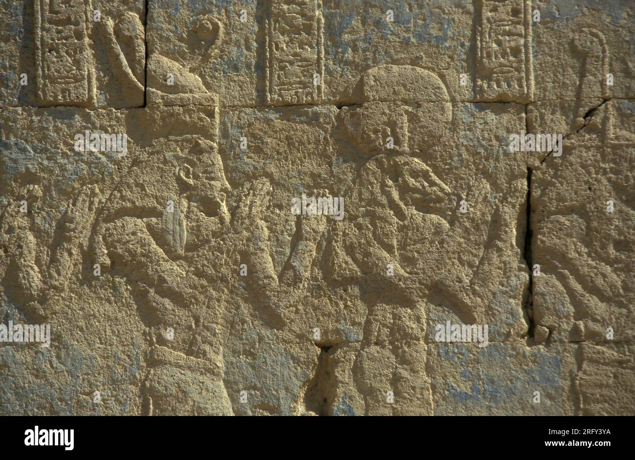 Stone carving at the pyramids of giza near the city of Cairo at the ...