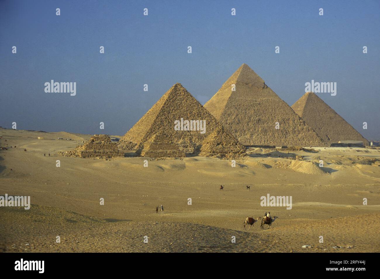 The pyramids of giza near the city of Cairo at the capital of Egypt in ...