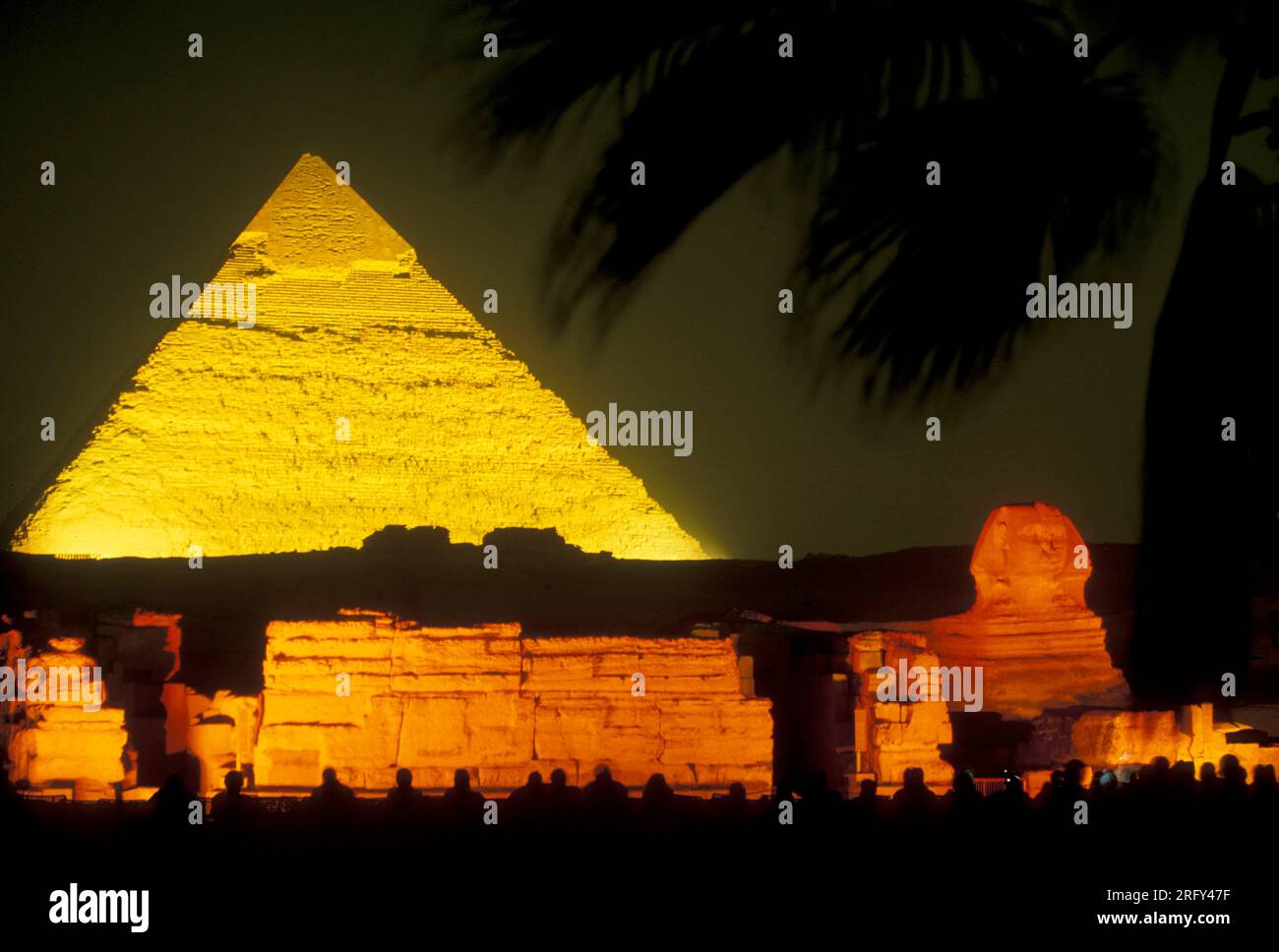 The pyramids of giza on a light show near the city of Cairo at the ...