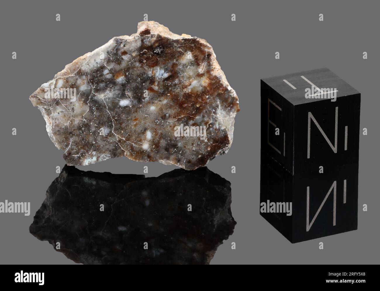 NWA 11182 - Found 2021, Morocco, Africa. Lunar Feldspar Breccia. Total ...
