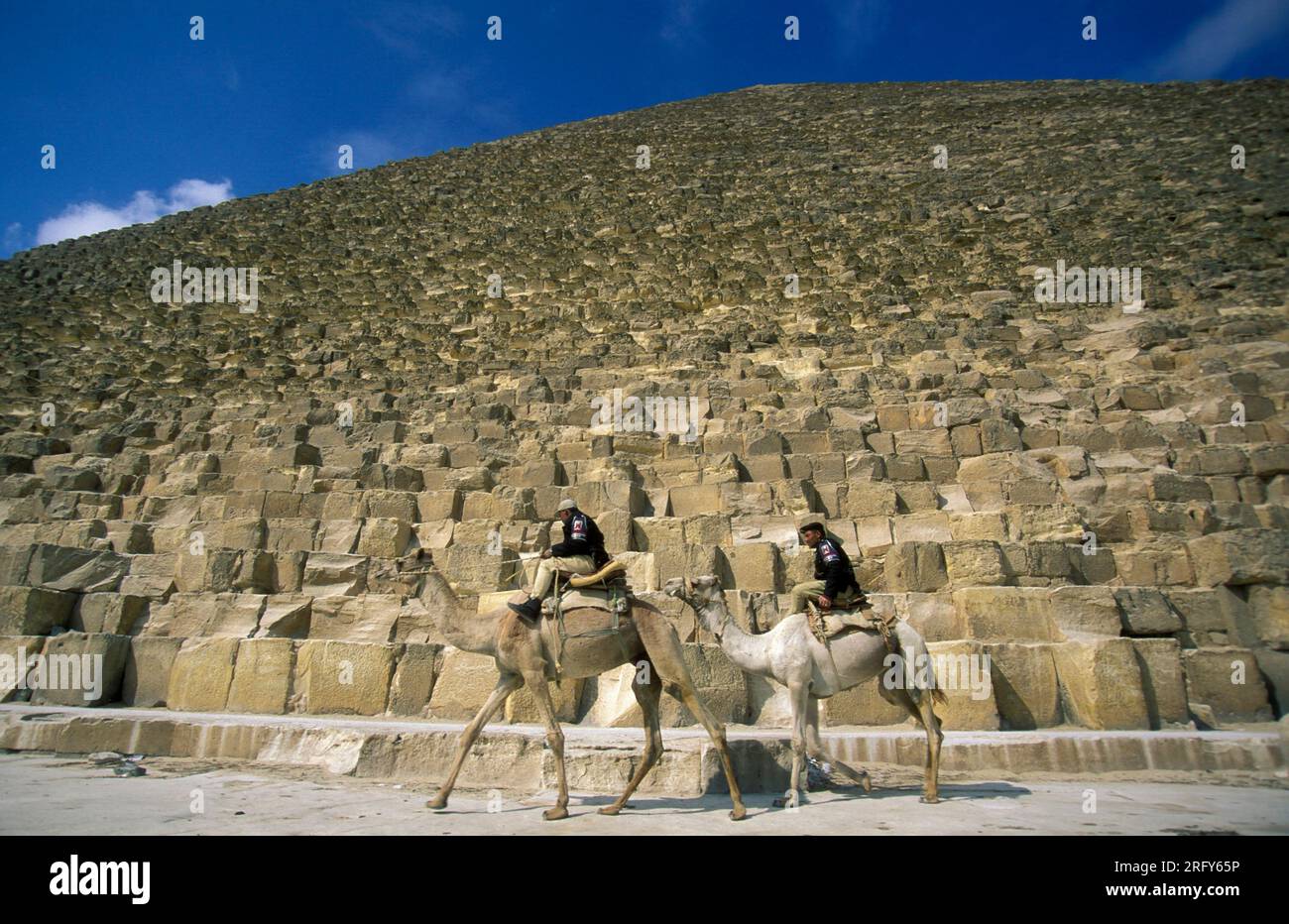 Police men with a Camel in front of pyramids of giza near the city of ...