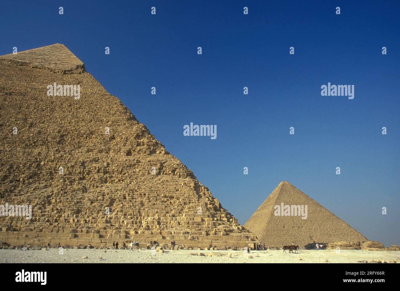 The pyramids of giza near the city of Cairo at the capital of Egypt in ...